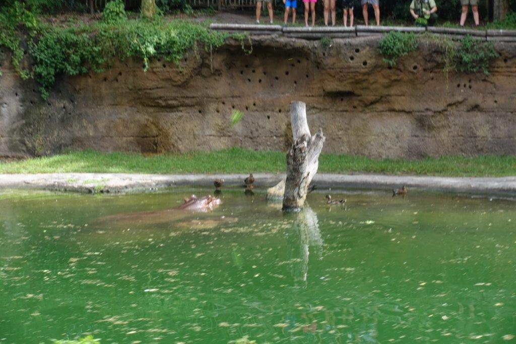 DSC05783 – Live Eat Colour