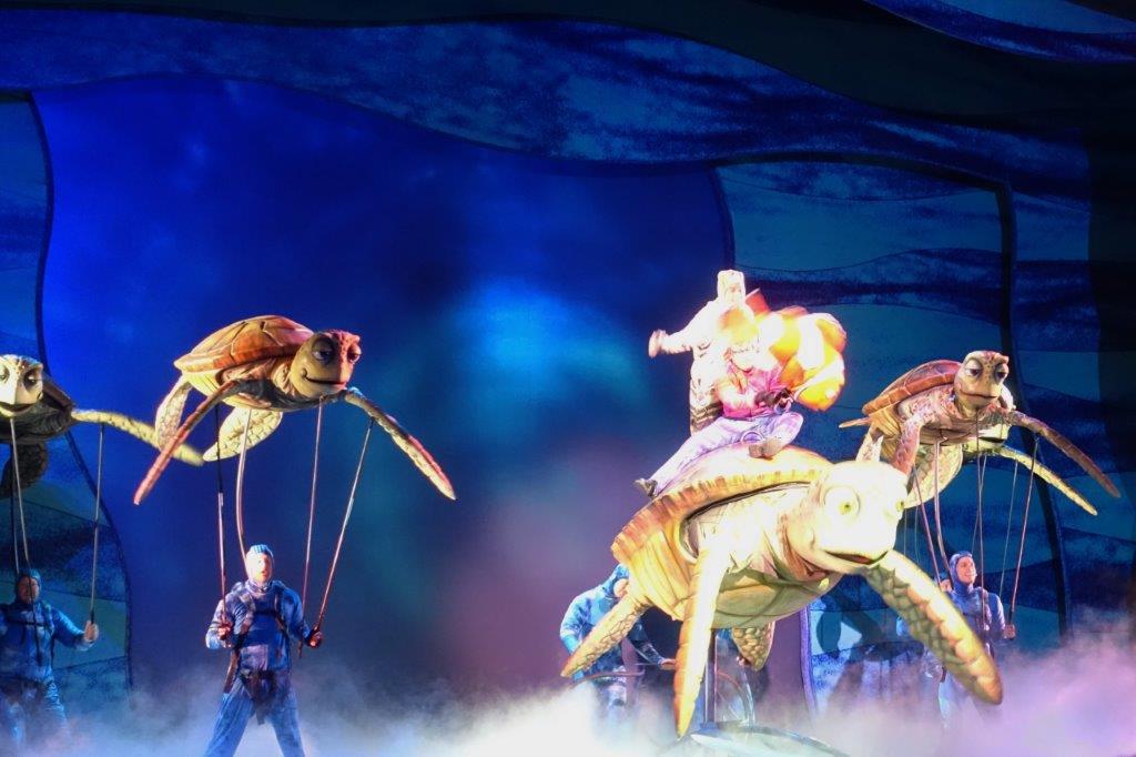 DSC06194 – Live Eat Colour