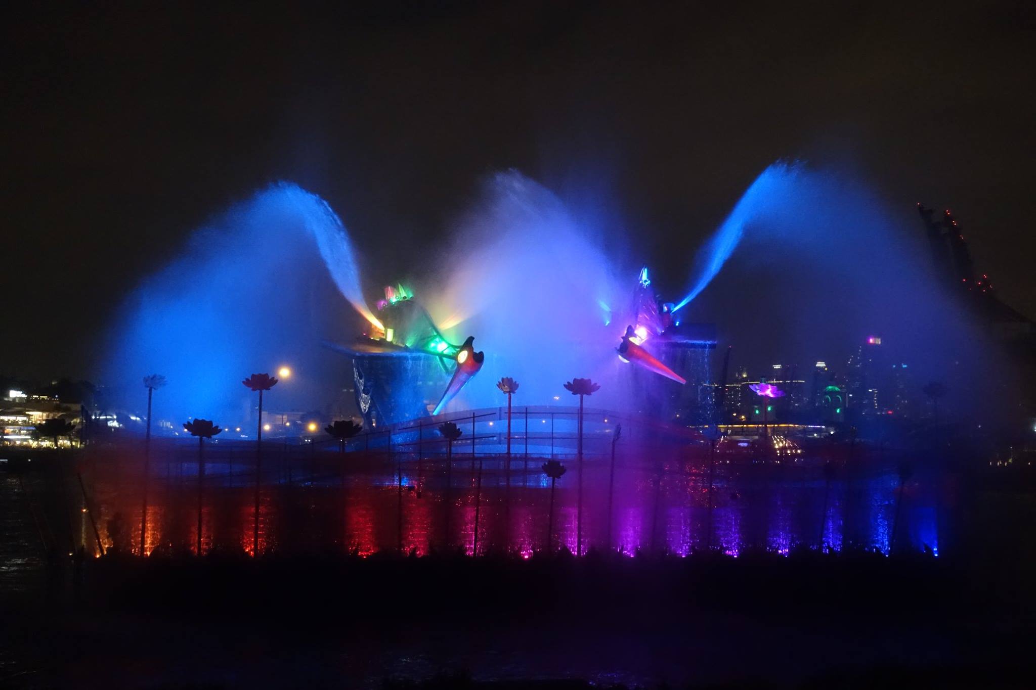 0367 – Live Eat Colour